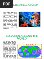 Exploring Food Webs in The Coral Reef PDF | PDF | Coral Reef | Coral