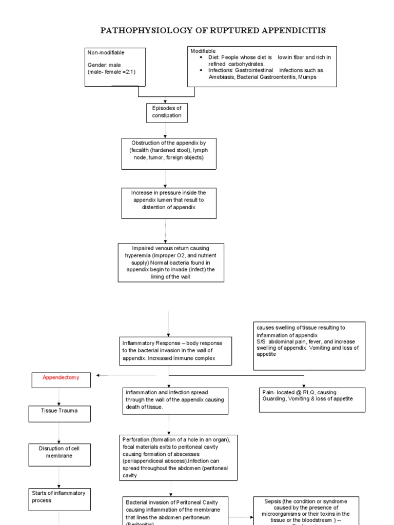 Pathophysiology of Ruptured Appendicitis: - 20 Yrs Old | PDF ...
