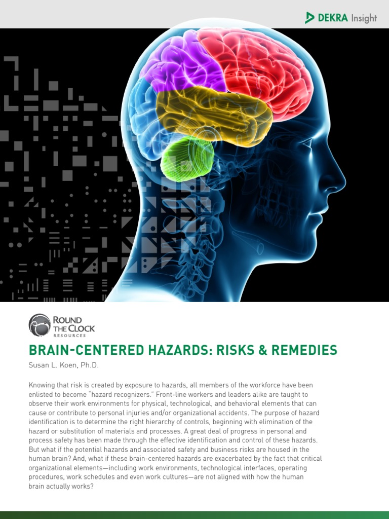 Brain-Centered Hazards | PDF | Brain | Reliability Engineering