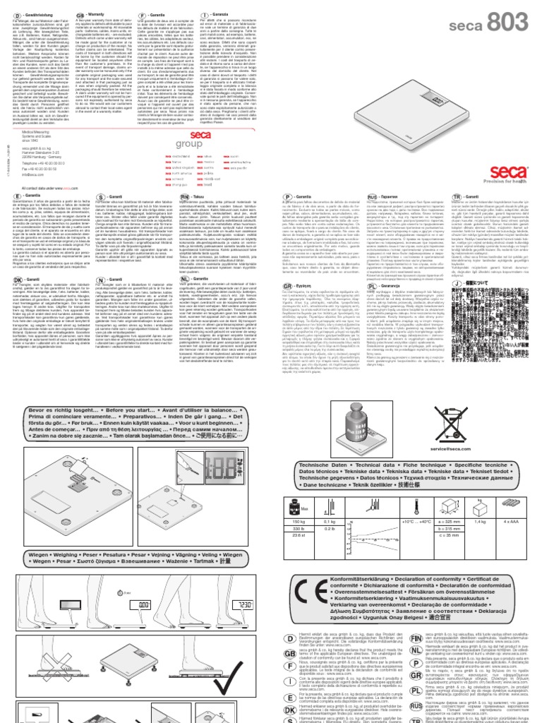 Manual Bascula Seca 803 | PDF