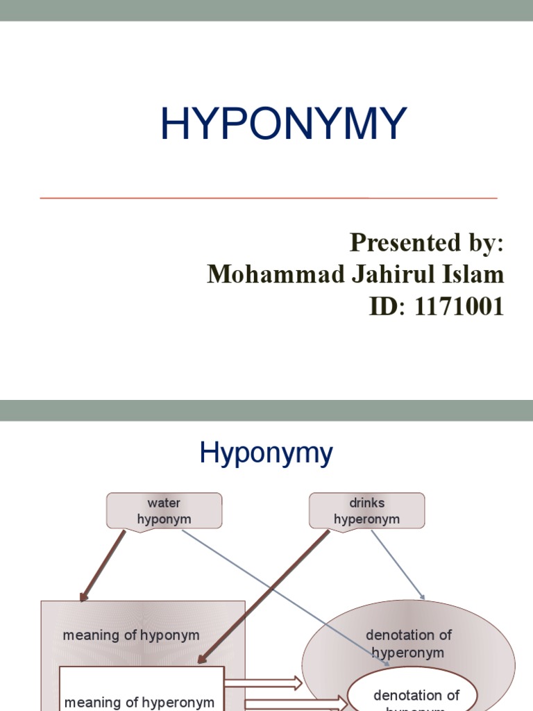 HYPONYMY Presentation | PDF