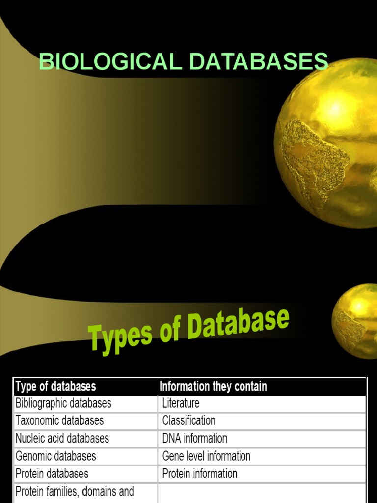 Overview of GenBank in Bioinformatics | PDF | Bioinformatics | Gen Bank