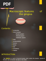 Sialogogue and Anti-Sialogogue | PDF | Pharmacology | Medical Specialties