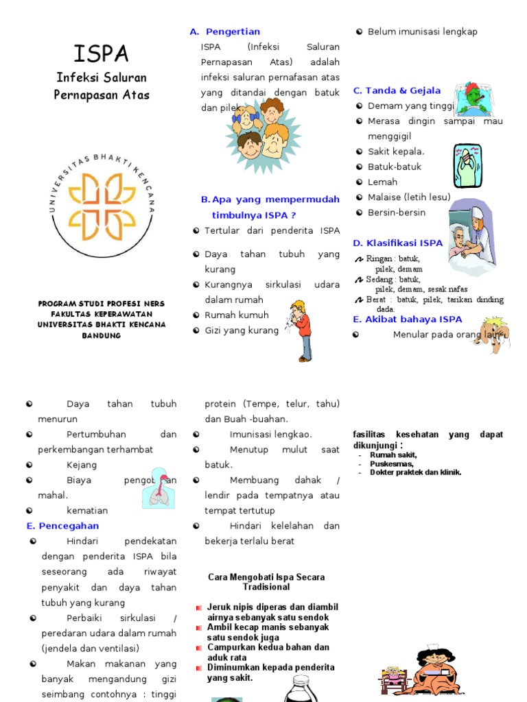 Leaflet Ispa | PDF