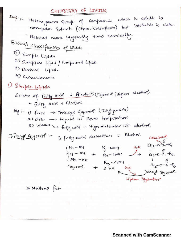 Marrow - Biochem - 2 (Rebecca James) PDF | PDF