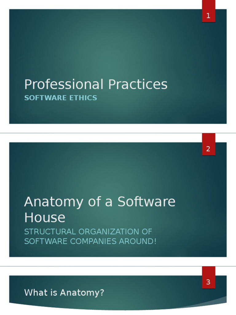 Anatomy of a Software House Structure | PDF | Revenue | Gross Margin