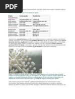 Encapsulated Vs Non Encapsulated Gram Positive Bacteria | PDF