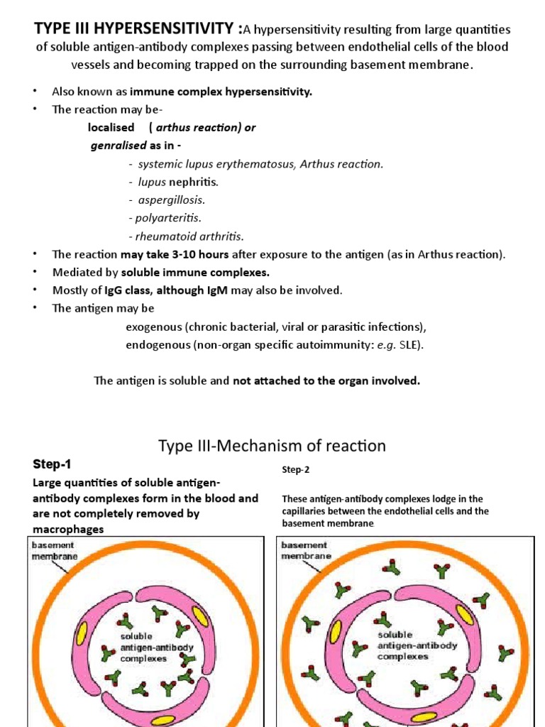 Type Iii Hypersensitivity:: Localised (Arthus Reaction) or | PDF ...