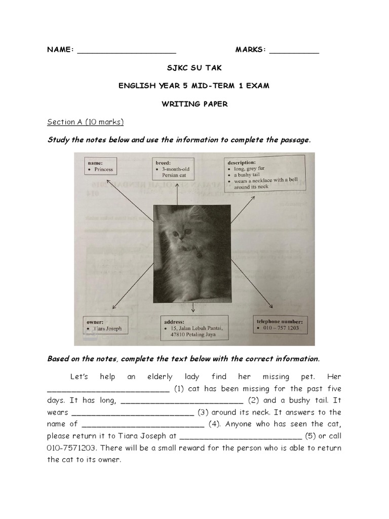 Writing Paper Year 5 | PDF