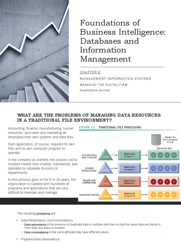 CH 6 - Foundations of Business Intelligence Databases and Information ...