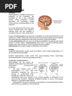 Nursing Crib Com NURSING CARE PLAN Hydrocephalus | PDF | Cerebrospinal ...