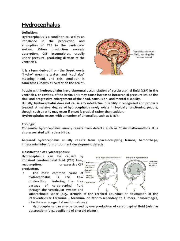 Hydrocephalus AND Neural Tube Defect | PDF | Cerebrospinal Fluid | Nervous System