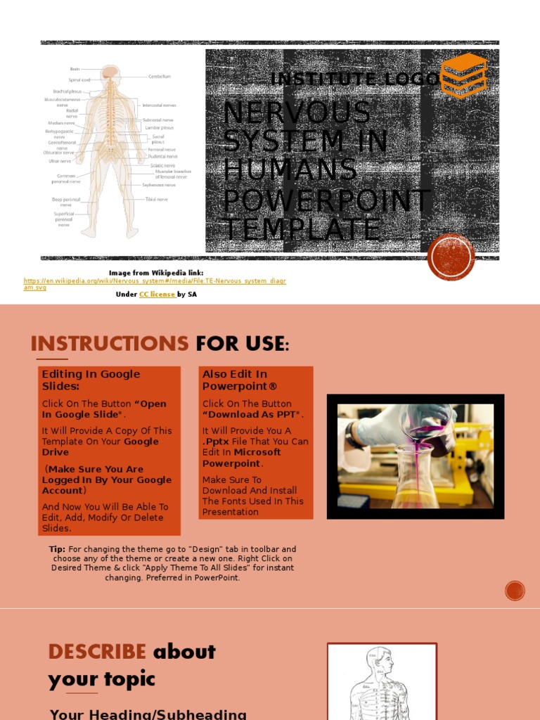 048 Free Nervous System Google Slides Themes PPT Template | PDF