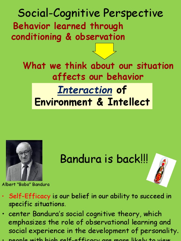 Social Cognitive Theory | PDF | Self Efficacy | Epistemology