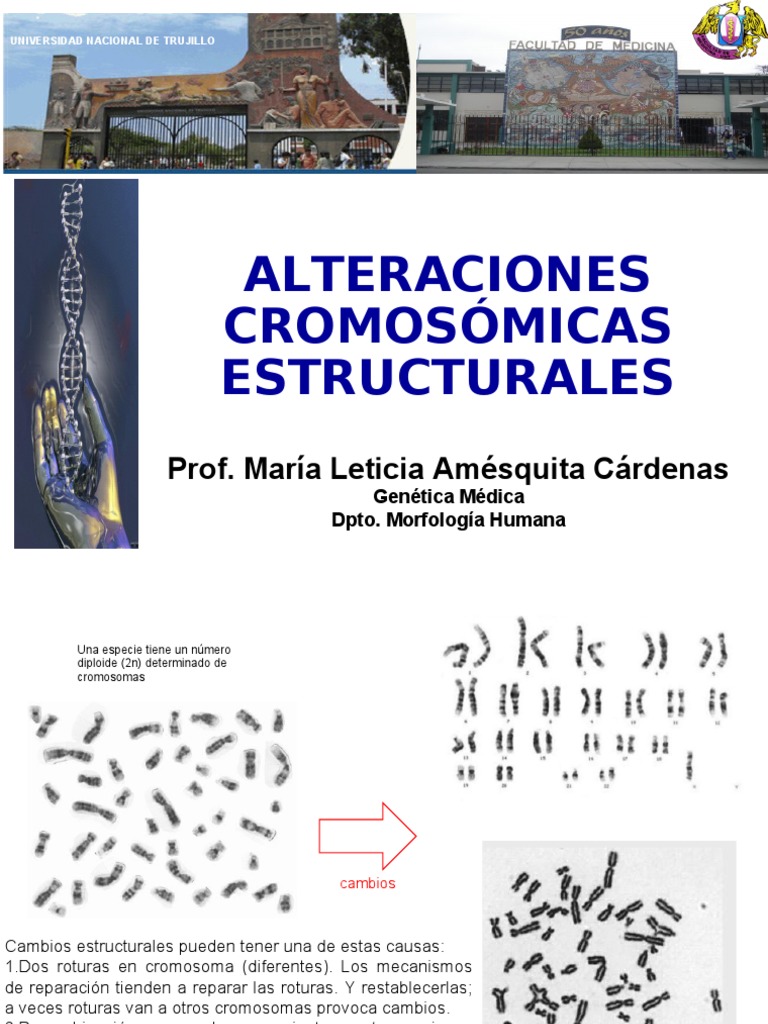 Alteraciones Cromosomicas Estructurales | PDF | Deleción (Genética) | Cromosoma