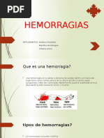 Hemorragia Interna y Externa | PDF