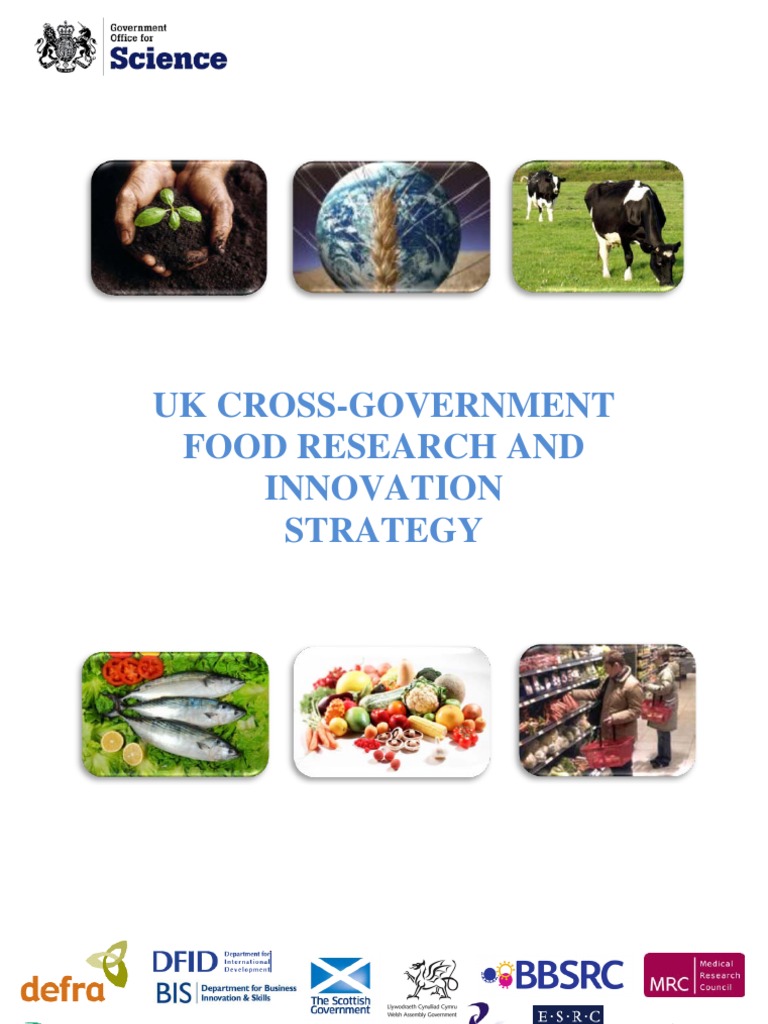Cross Government Food Research Strategy | PDF | Obesity | Food Security