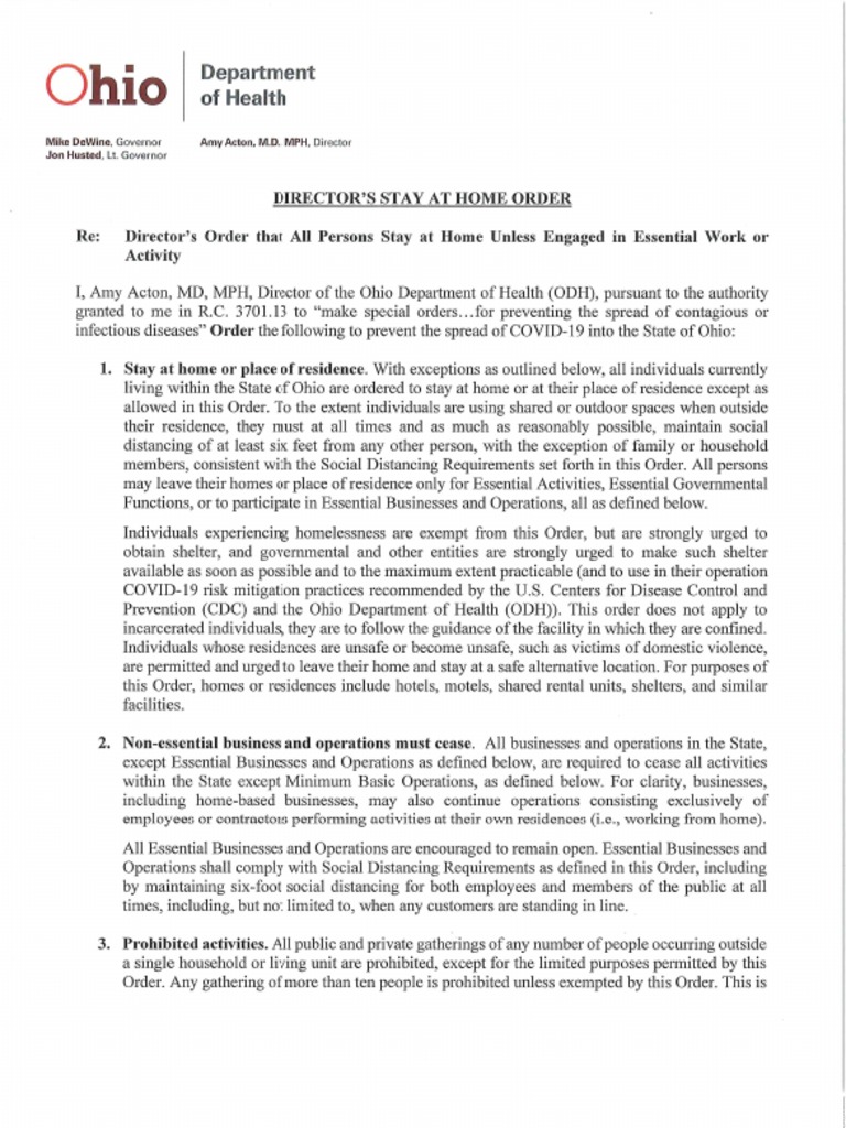 Director's Order - Stay at Home | PDF