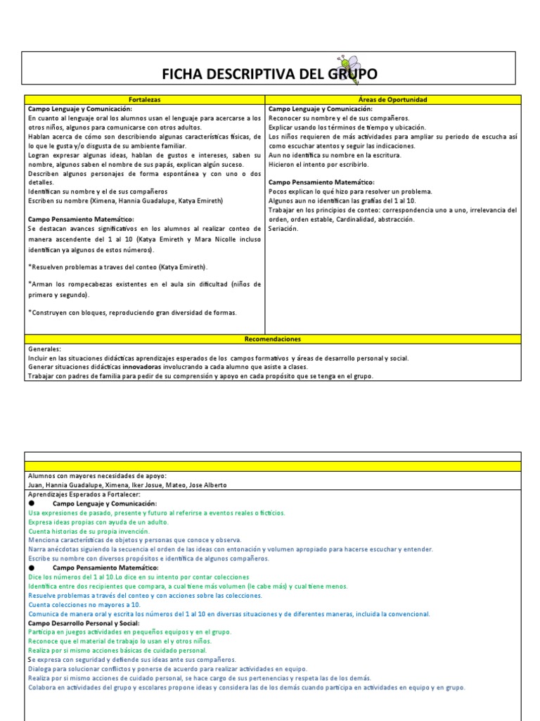 Ficha Descriptiva Grupal | PDF | Comunicación | Enseñanza de matemática