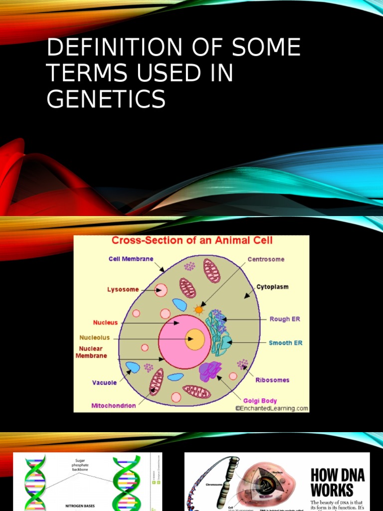 Definition of Some Terms Used in Genetics | PDF | Dominance (Genetics ...
