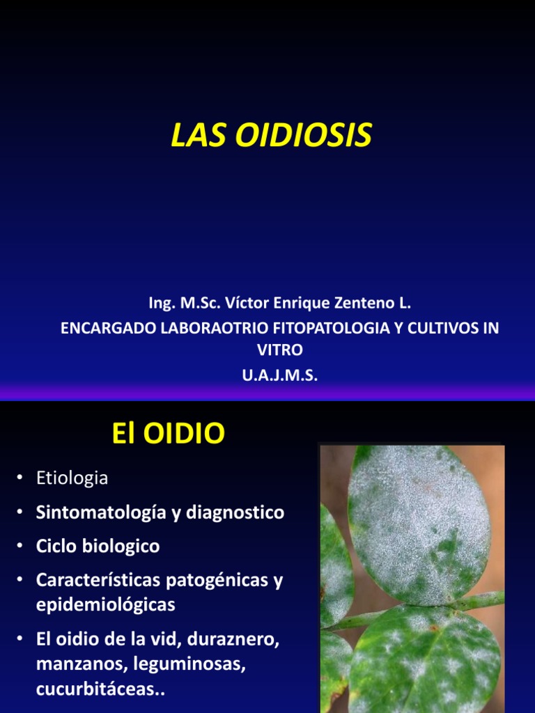 Control de Oidiosis en Cultivos Agrícolas | PDF | Hongo | Biología