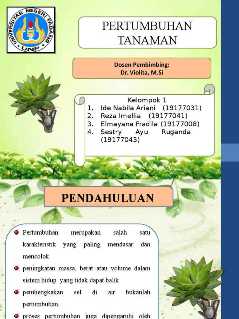 Pertumbuhan Tanaman Kelompok 1 | PDF | Griya & Taman | Kesehatan Holistik