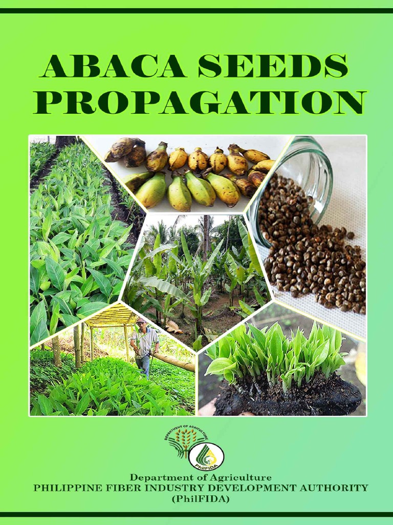 Abaca Seed Propagationbooklet | PDF