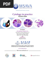 Swine Blood Collection Guide | PDF | Vein | Syringe