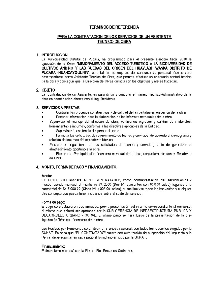 TDR Asistente de Obra | PDF | Impuestos | Gobierno