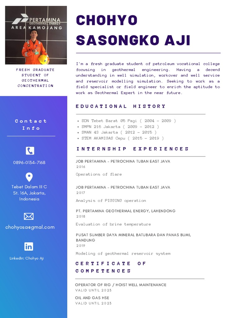 Chohyo Sasongko Aji CV | PDF