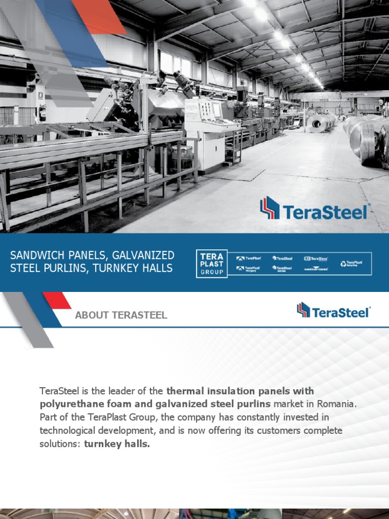 TeraSteel Presentation | PDF | Serbia | Euro