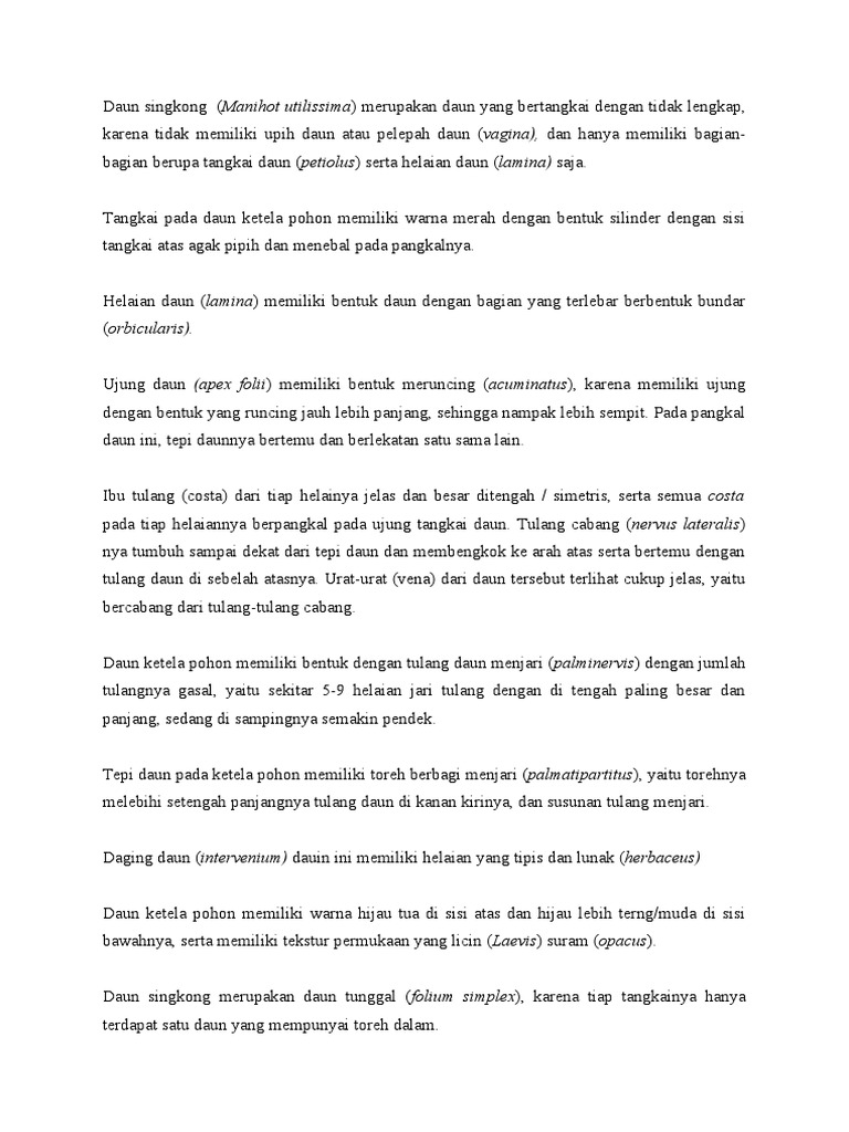 Morfologi Daun Ketela Pohon Atau Singkong | PDF