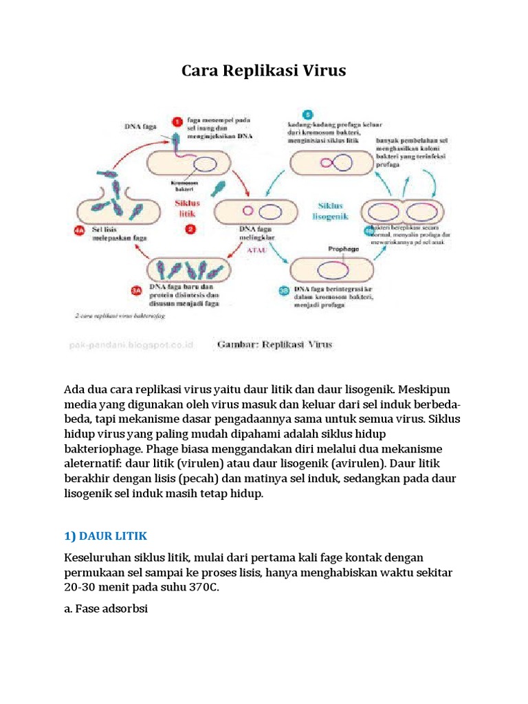 Cara Replikasi Virus | PDF