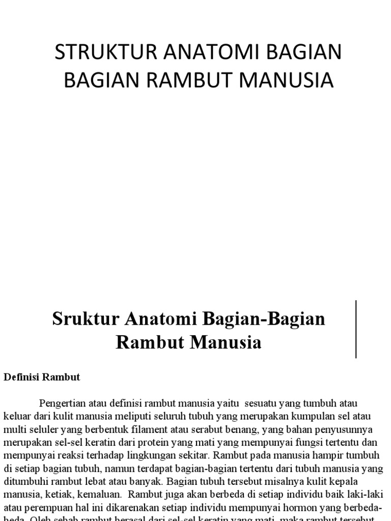Struktur Anatomi Bagian Rambut Manusia | PDF