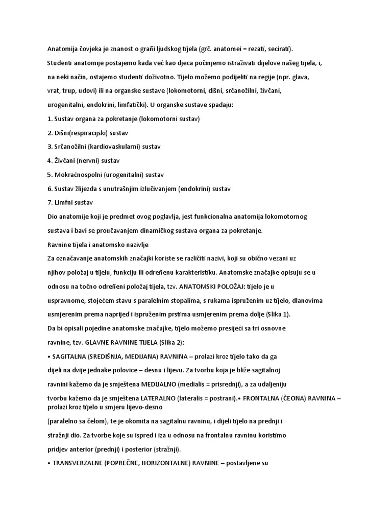 Skripta Iz Anatomije KIF | PDF