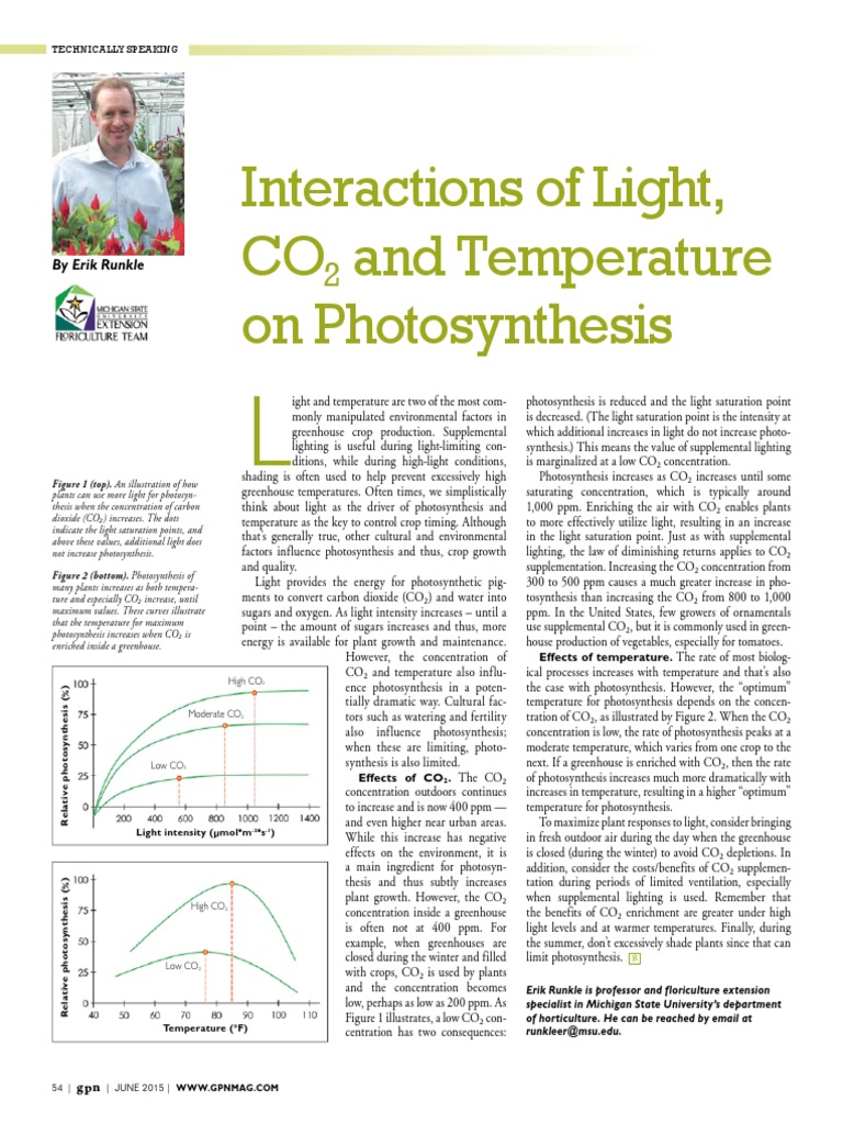 Light CO2 and Temp | PDF | Carbon Dioxide | Photosynthesis