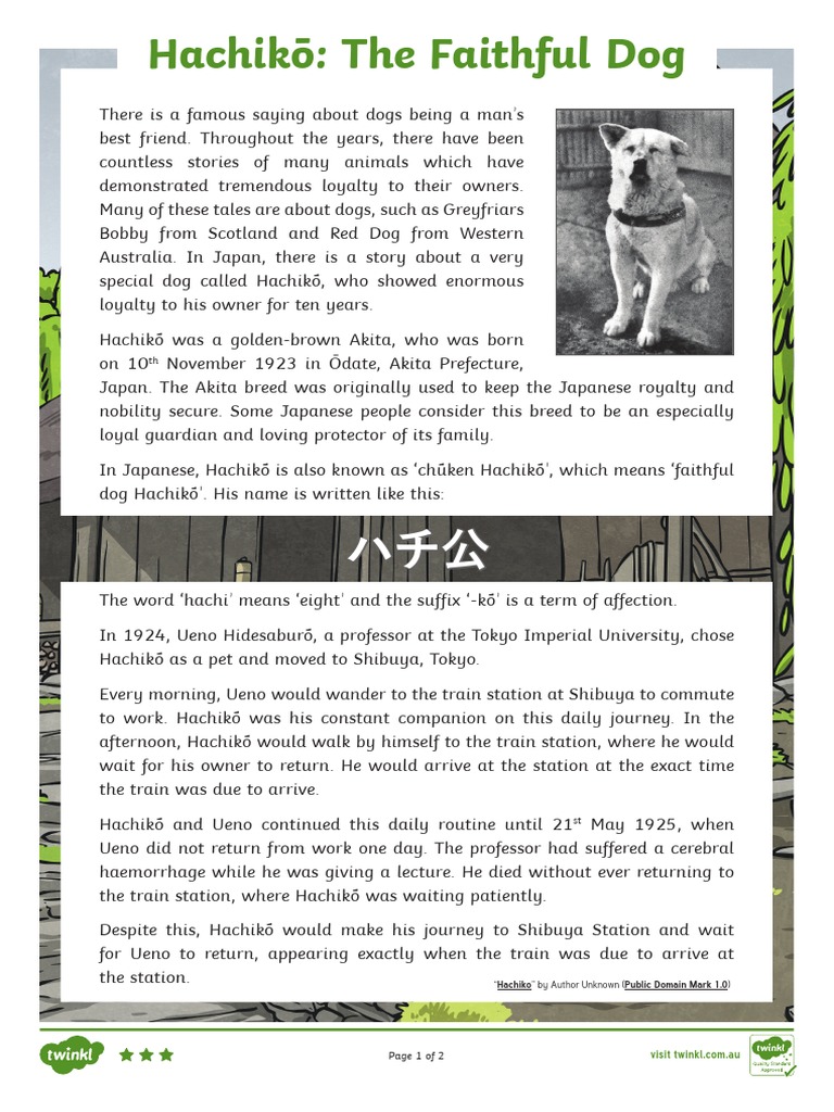 Hachiko The Faithful Dog | PDF | Dogs