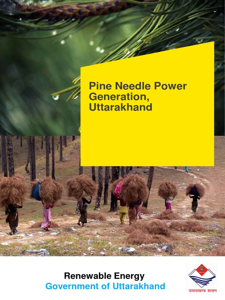 Pine Needle Power Generation in Uttarakhand | PDF | Biomass | Renewable ...