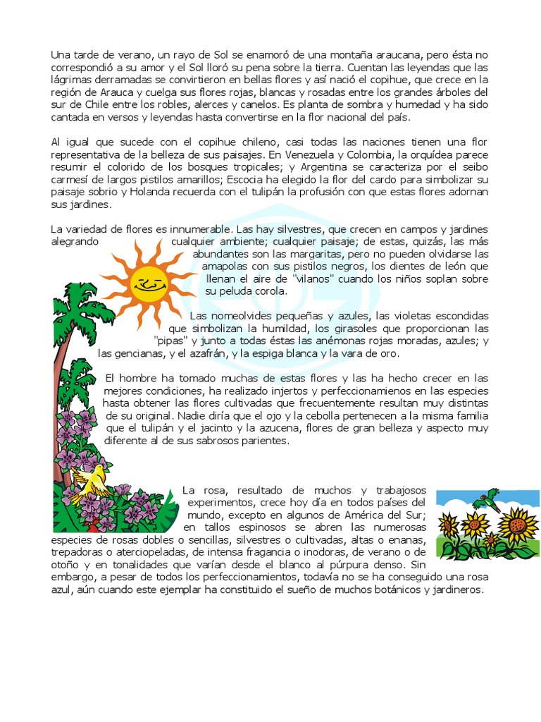 Lectura El Sol | PDF | Flores | Rosa