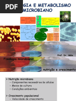Um Grupo Muscular Por Dia | PDF | Musculação