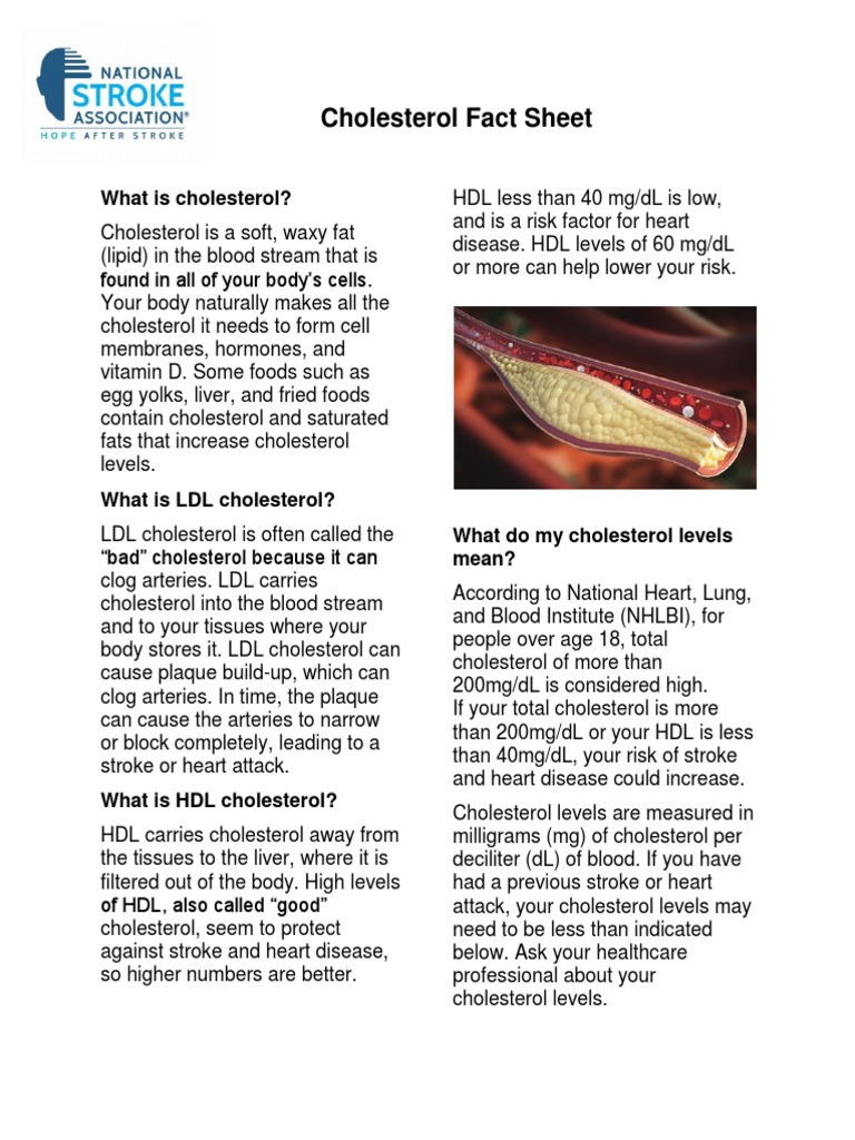 Cholesterol - Fact Sheet | PDF | Cholesterol | High Density Lipoprotein