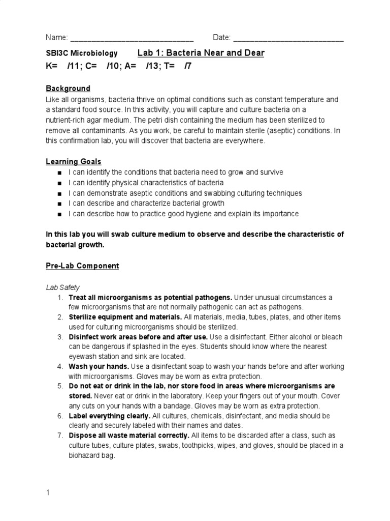 Sbi3c Microbiology Lab Handout | PDF | Growth Medium | Sterilization ...