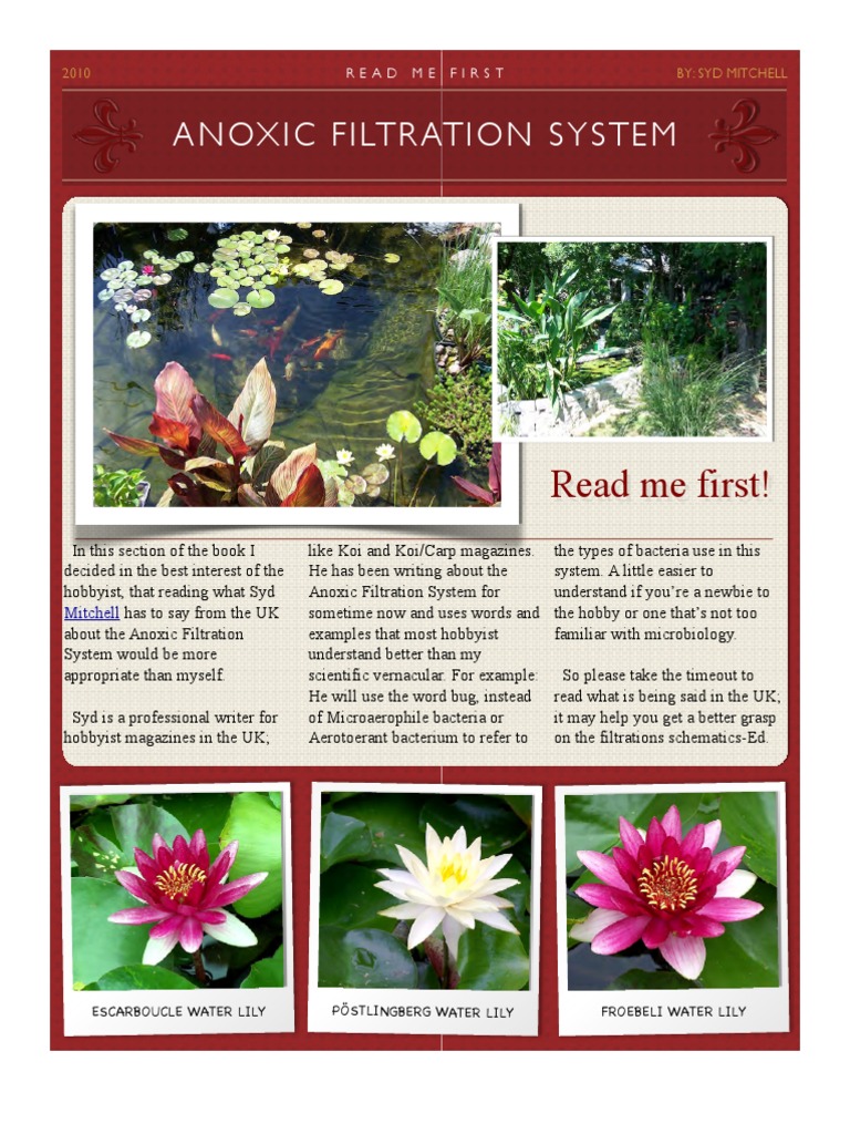 Anoxic Filtration System: Read Me First! | Download Free PDF | Nitrogen ...