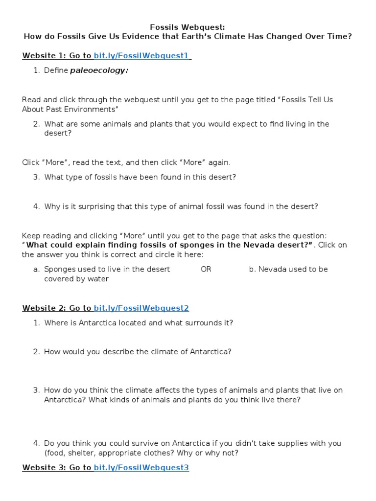 Distance Fossils Webquest 1 | PDF