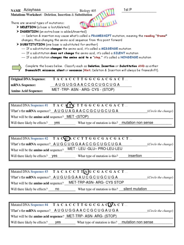 DNA Mutations Worksheet 12.3 | PDF | Point Mutation | Hemoglobin