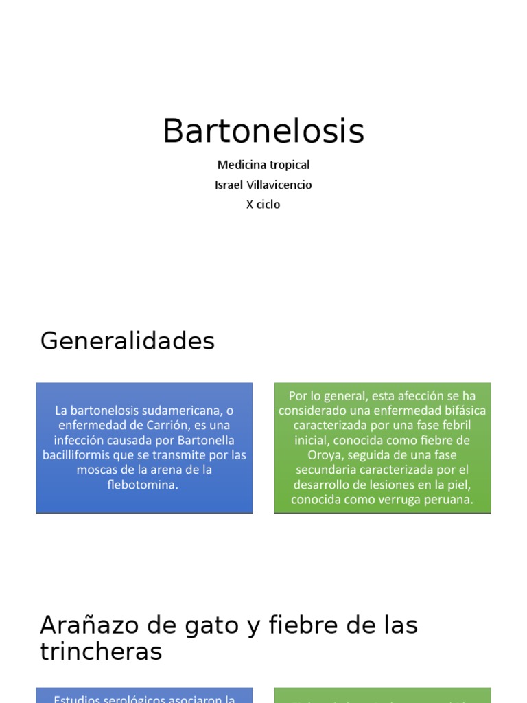 Bartonelosis | PDF | Especialidades Medicas | Enfermedades y trastornos