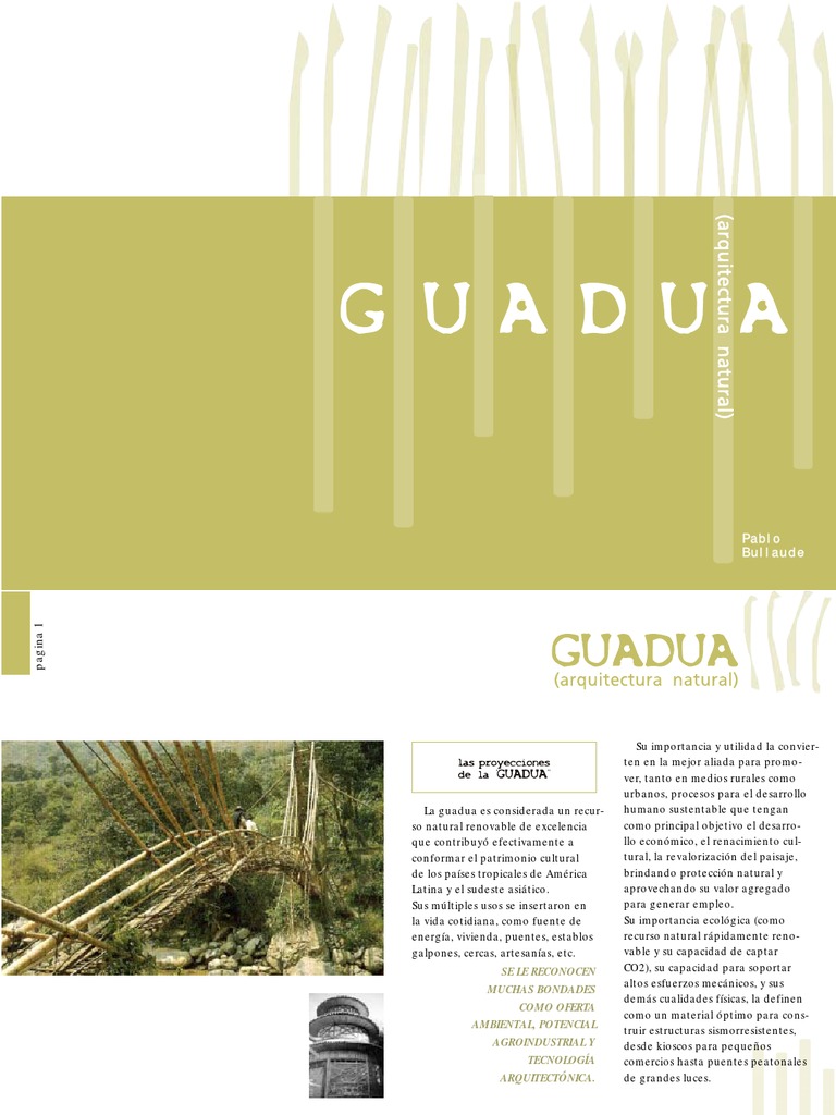 Beneficios de la Guadua en Construcción | PDF | Plantas | Naturaleza