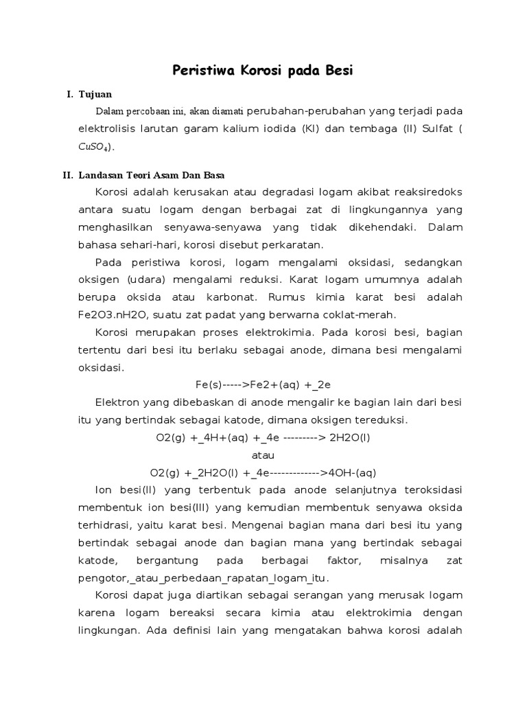 Laporan Praktikum Kimia - Korosi Besi | PDF