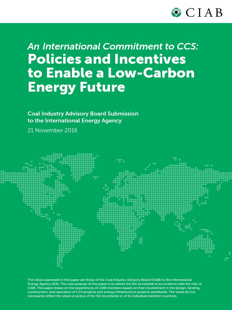 CIAB Report CCSReport | PDF | Carbon Capture And Storage ...