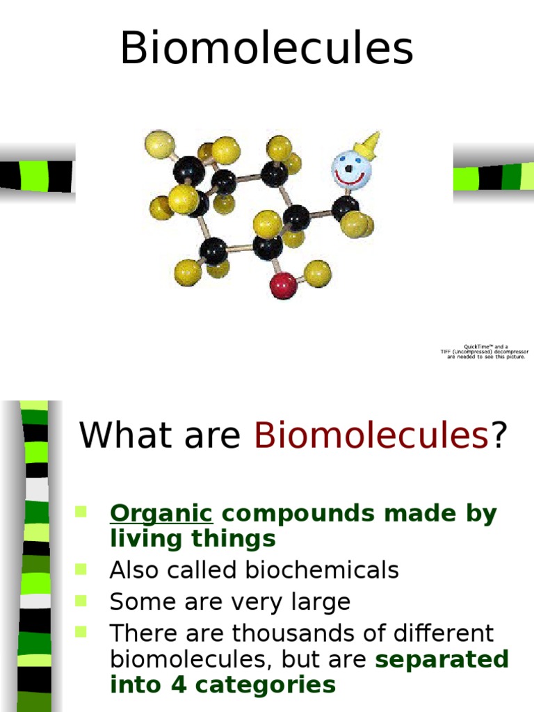 Biomolecules | PDF | Fat | Biomolecules